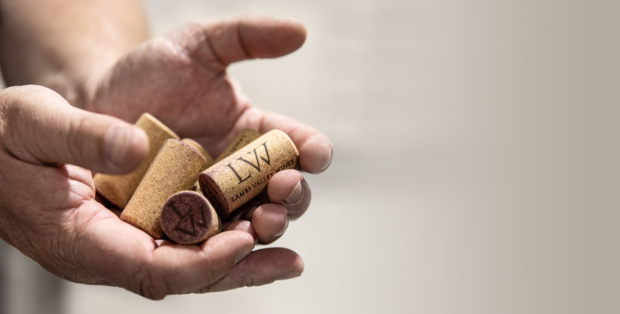 Welcome to Lambs Valley Wines