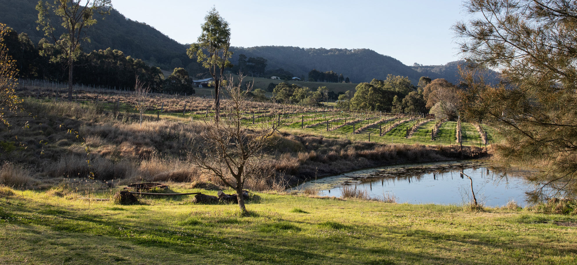 Contact Us– Lambs Valley Wines